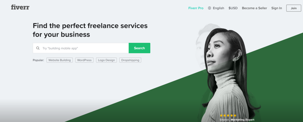 Our Review As A Buyer of Fiverr Services - Wise News