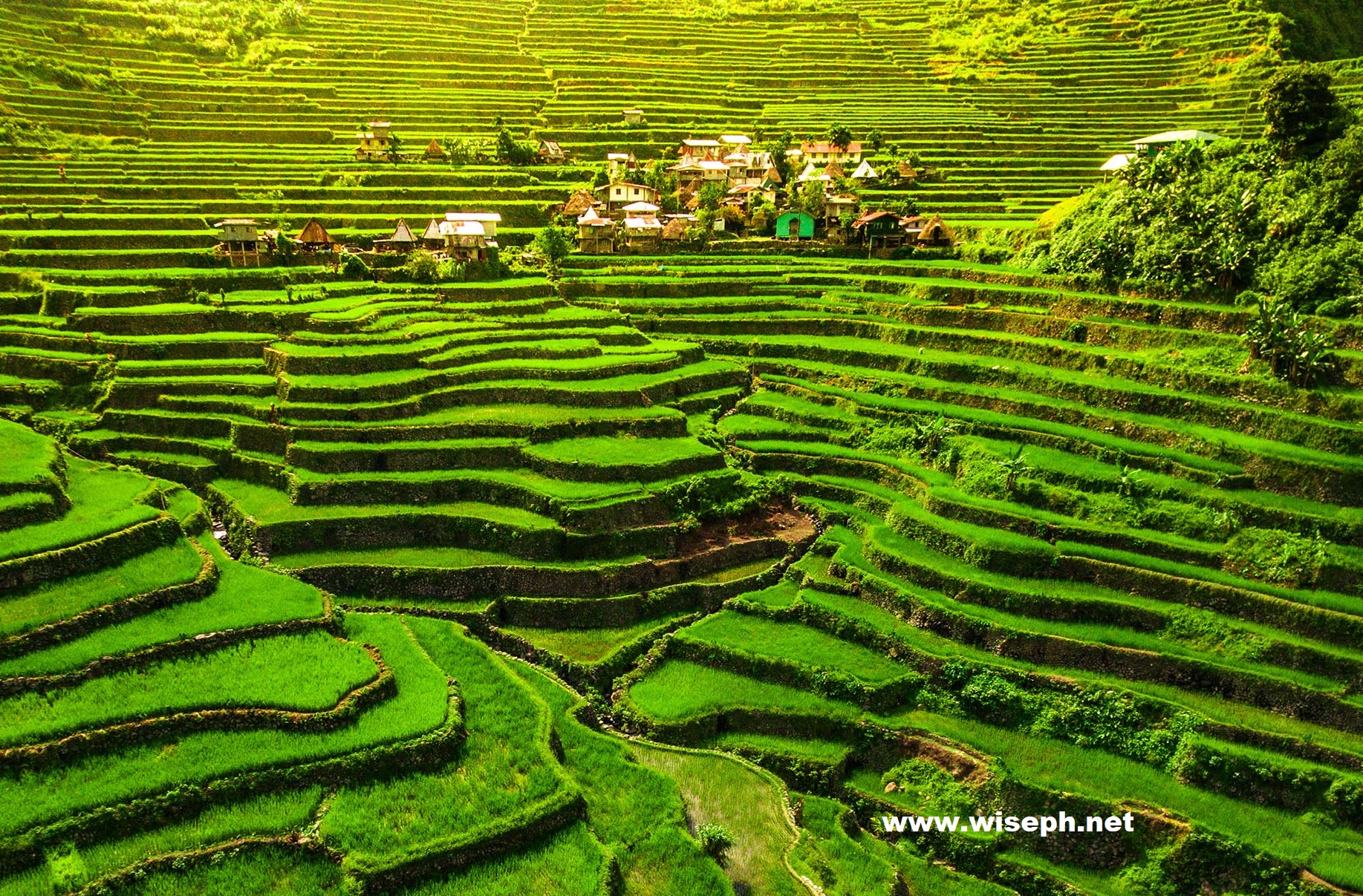 Sagada Mountain Province 2023 Tourist Guide - Wise News